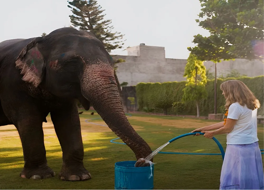 Elephant Quotes in Hindi | हाथियों पर अनमोल व प्रेरणादायक विचार