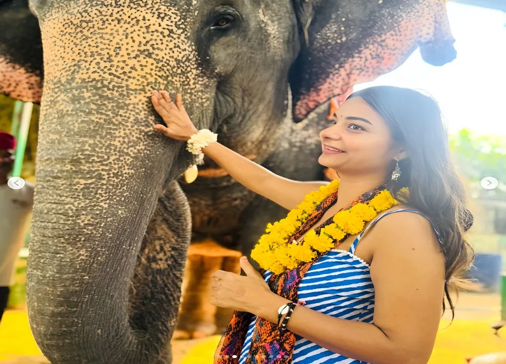 Elephant Quotes in Hindi | हाथियों पर अनमोल व प्रेरणादायक विचार